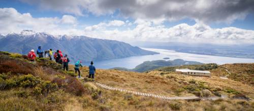 Great Walks of New Zealand | Self Guided & Guided NZ Walking tours