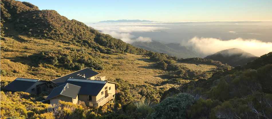 Hump Ridge Track Self-Guided Hike