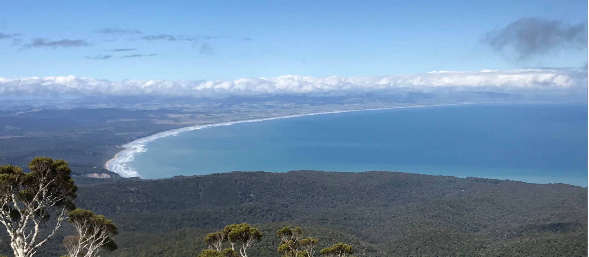 Hump Ridge Track Guided Walk| Tuatapere NZ